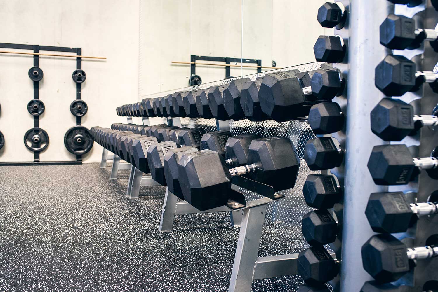 About Evolution Strength & Fitness - Moss Vale